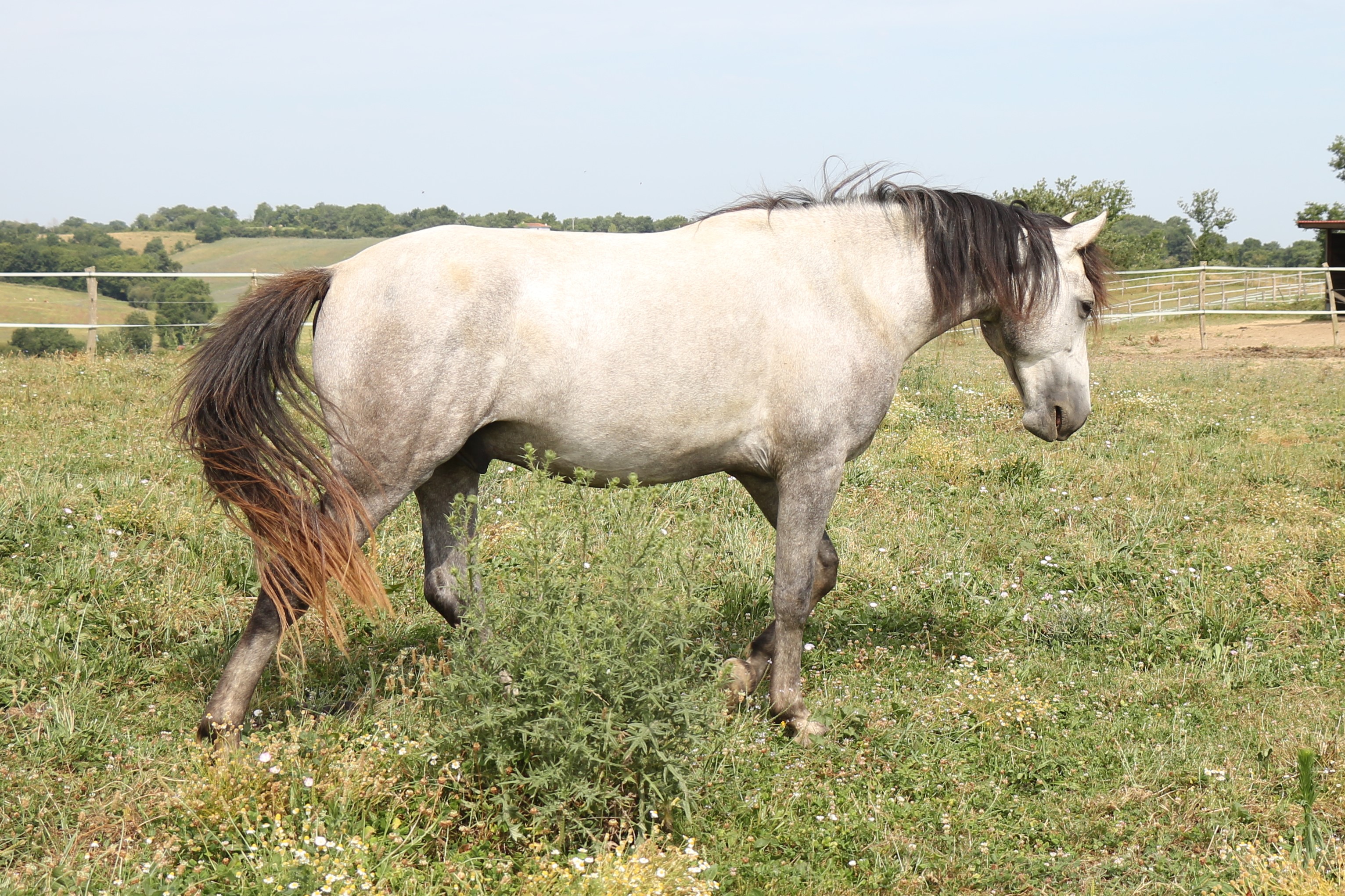 Impressionen von Fadir d’Argile d’Or | Argile d'Or
